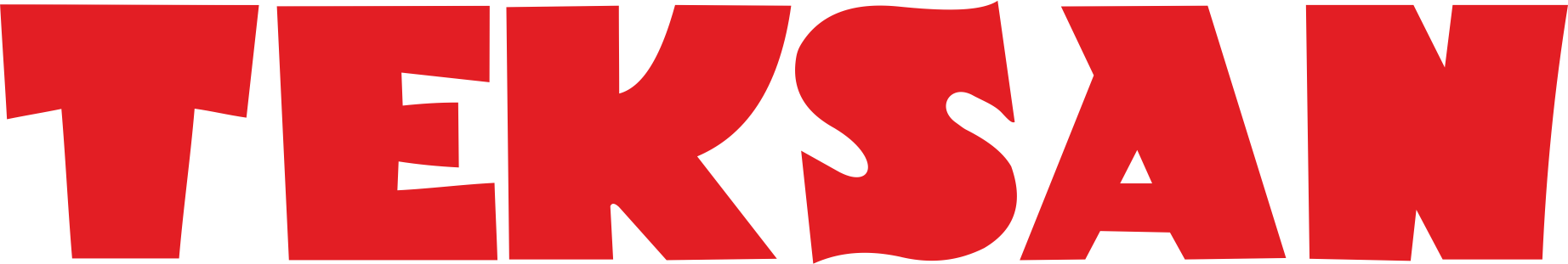 TEKSAN - Technologic Metering Systems