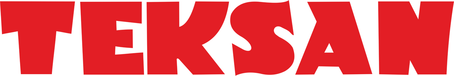 TEKSAN - Technologic Metering Systems